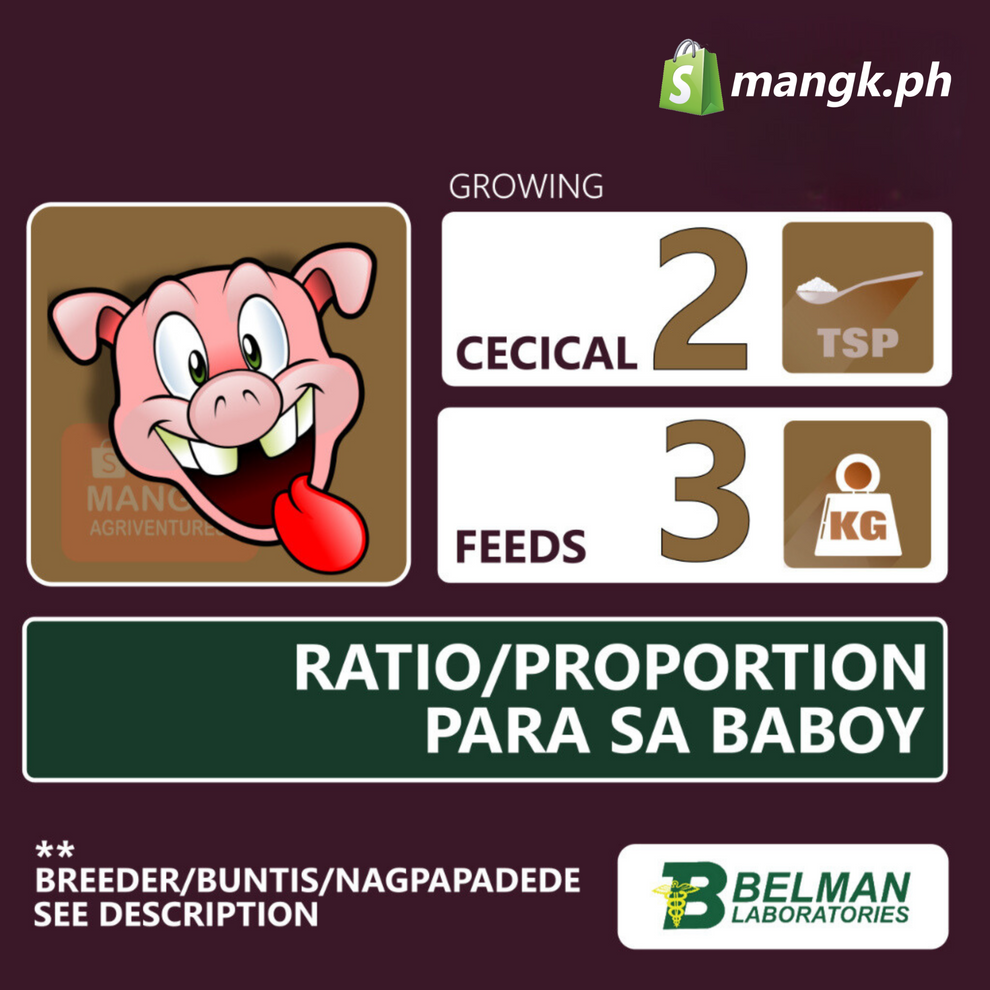 1 KG CECICAL POWDER Feed MIX Vitamins|Minerals for Chicken|Gamefowl GO ...