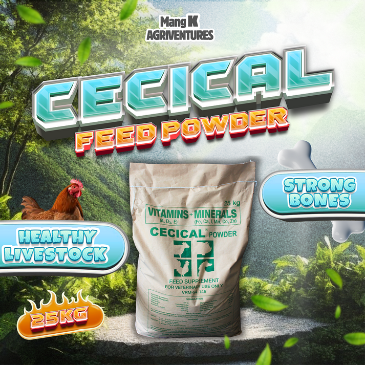 1 KG CECICAL POWDER Feed MIX Vitamins|Minerals for Chicken|Gamefowl GO ...