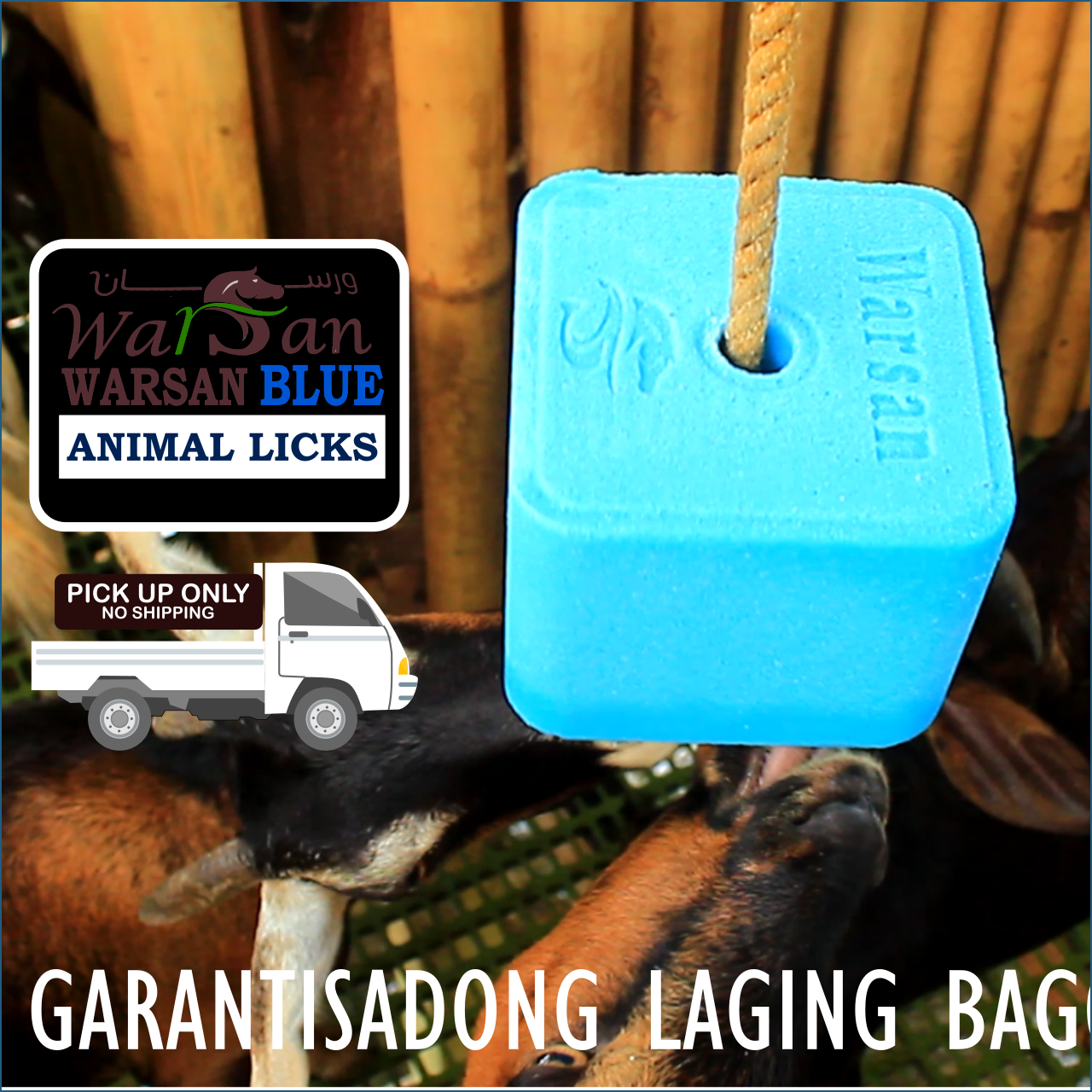 Collections – mangk.ph
